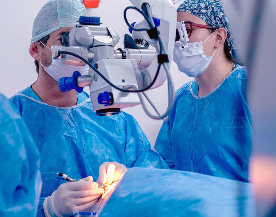 Corneal Transplants: PK, DALK, DSAEK & DMEK Guide