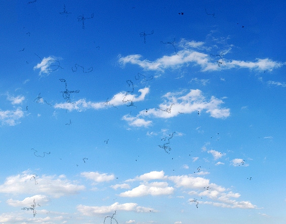 Blurry and Hazy Vision Causes and Treatment